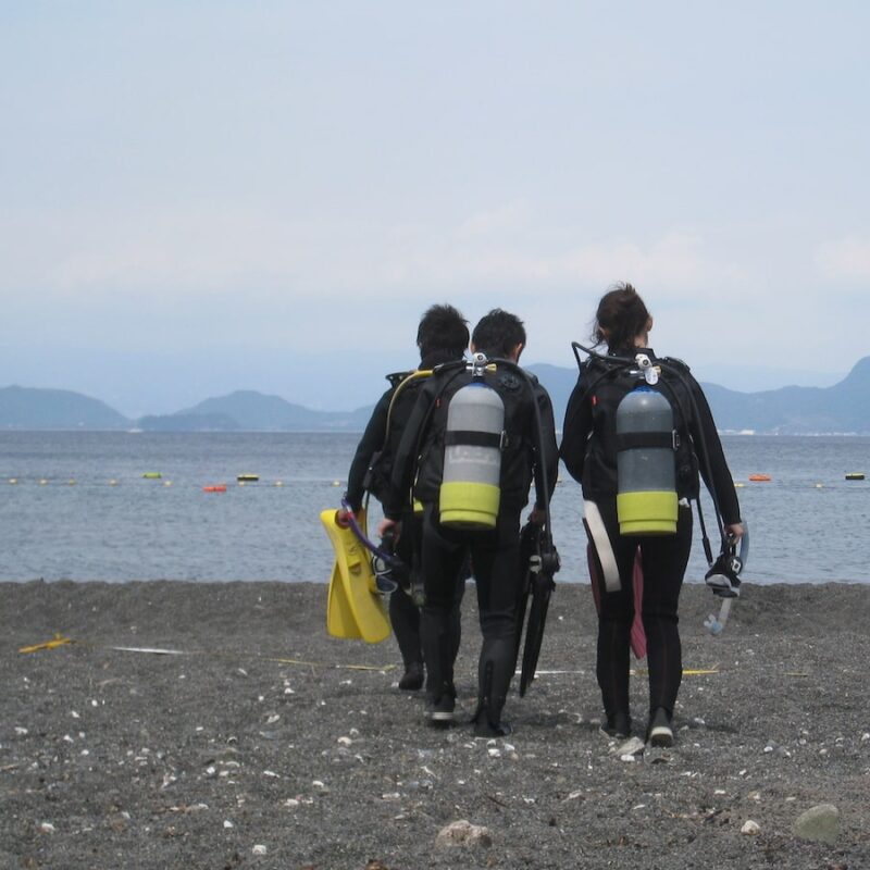 【2024年最新版】ANA3000マイルから行ける今週のトクたびマイル旅先リスト | futari style